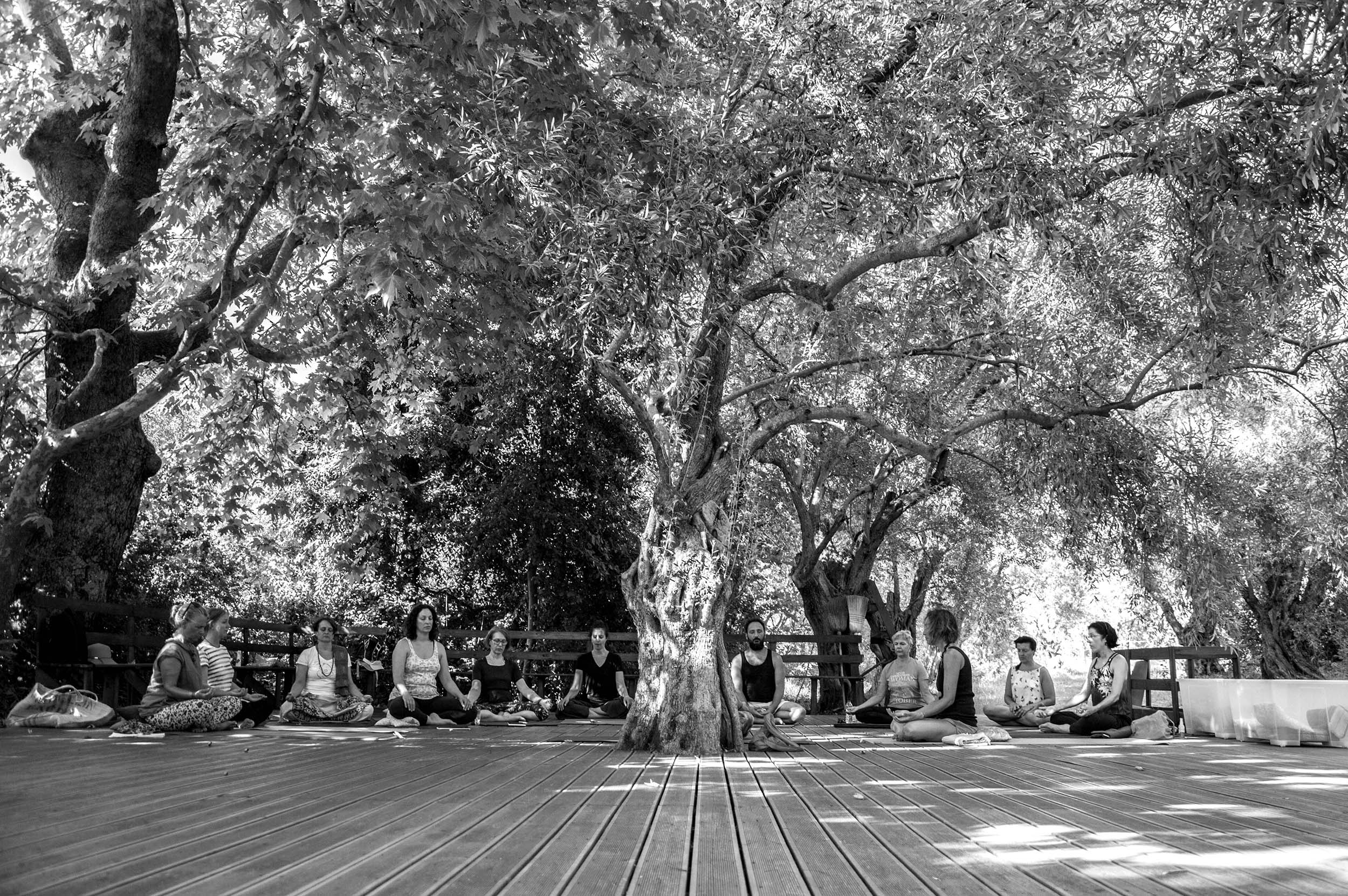 ΓΙΟΓΚΑ – ZEN CENTER ATHENS